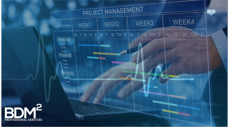 What is a Project Pulse Check and Does Your Project Need One? - BDM ...